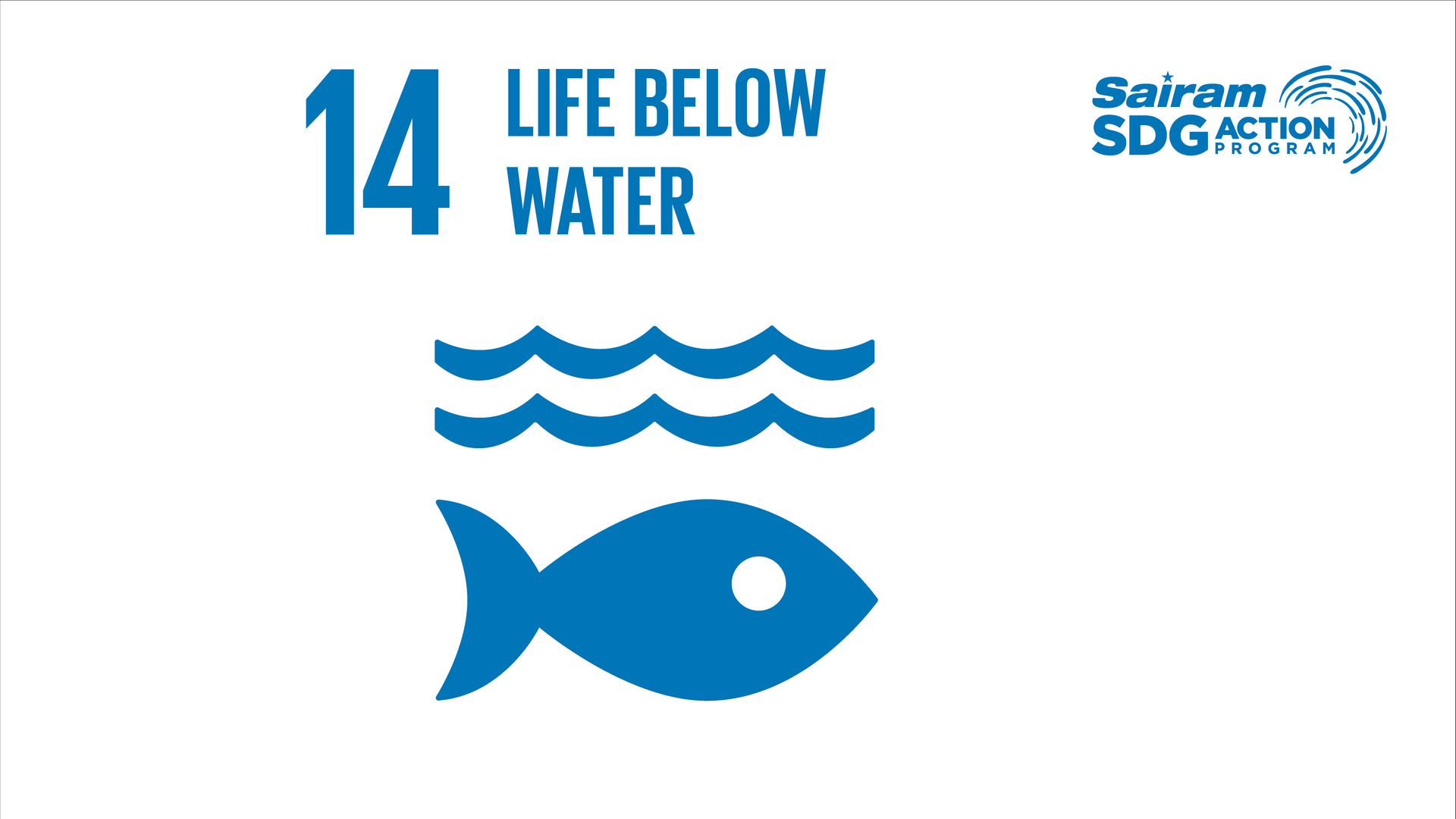Sairam SDG